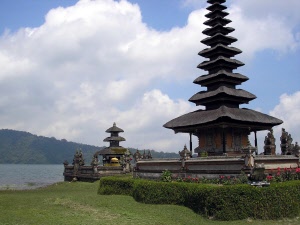 Medium Dark Roasted Coffees